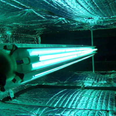 UV BIO-WALL MAX - IsscoThai Technologies